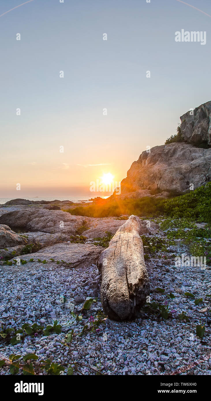 On the rocks of the sea lay an abandoned rotten wood, and the afterglow ...