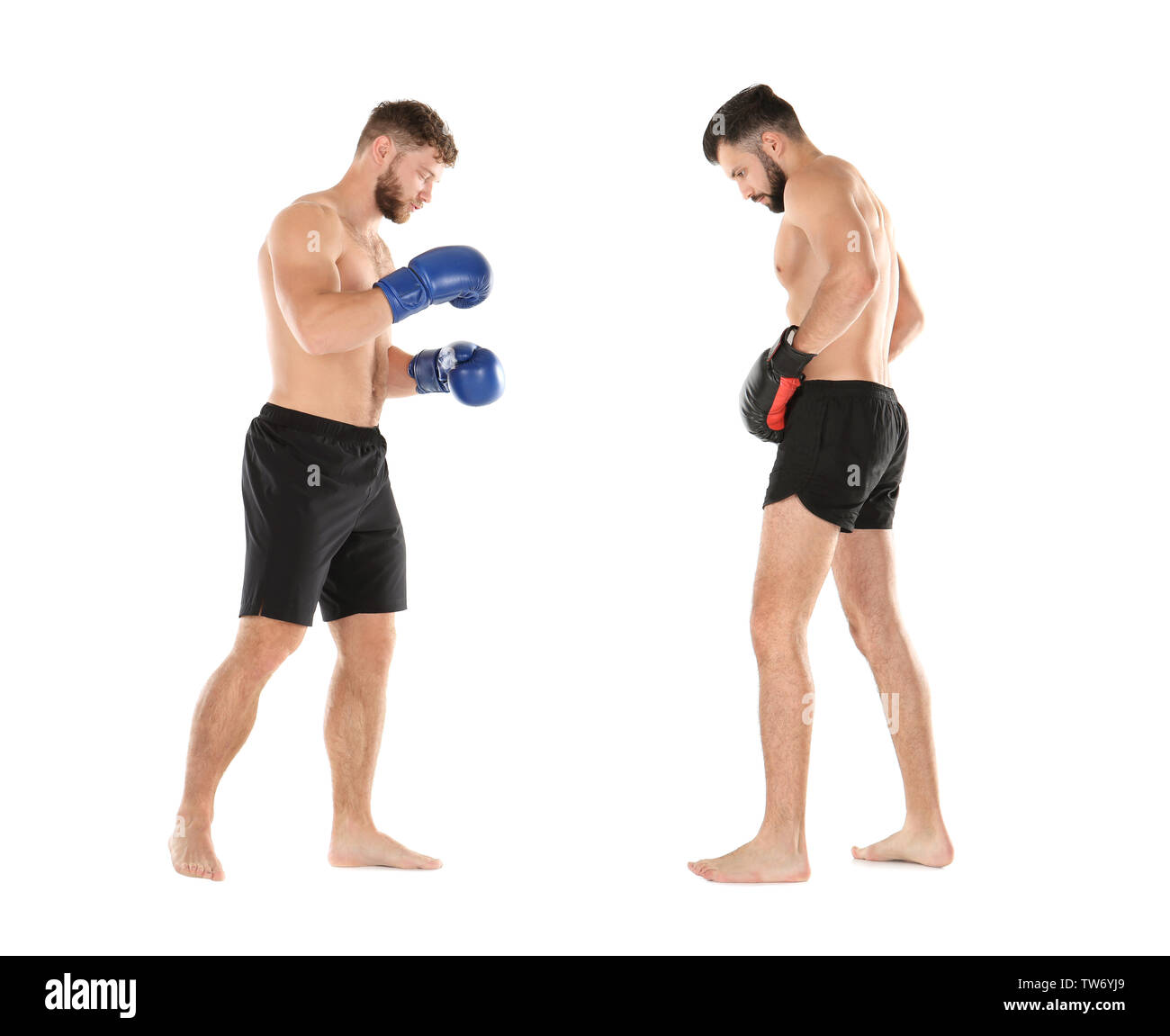 Male boxers fighting on white background Stock Photo - Alamy