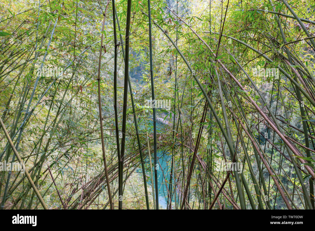 Pengshui Ai River Scenic Area Stock Photo - Alamy