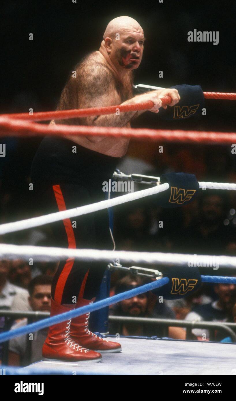 George steele hi-res stock photography and images - Alamy