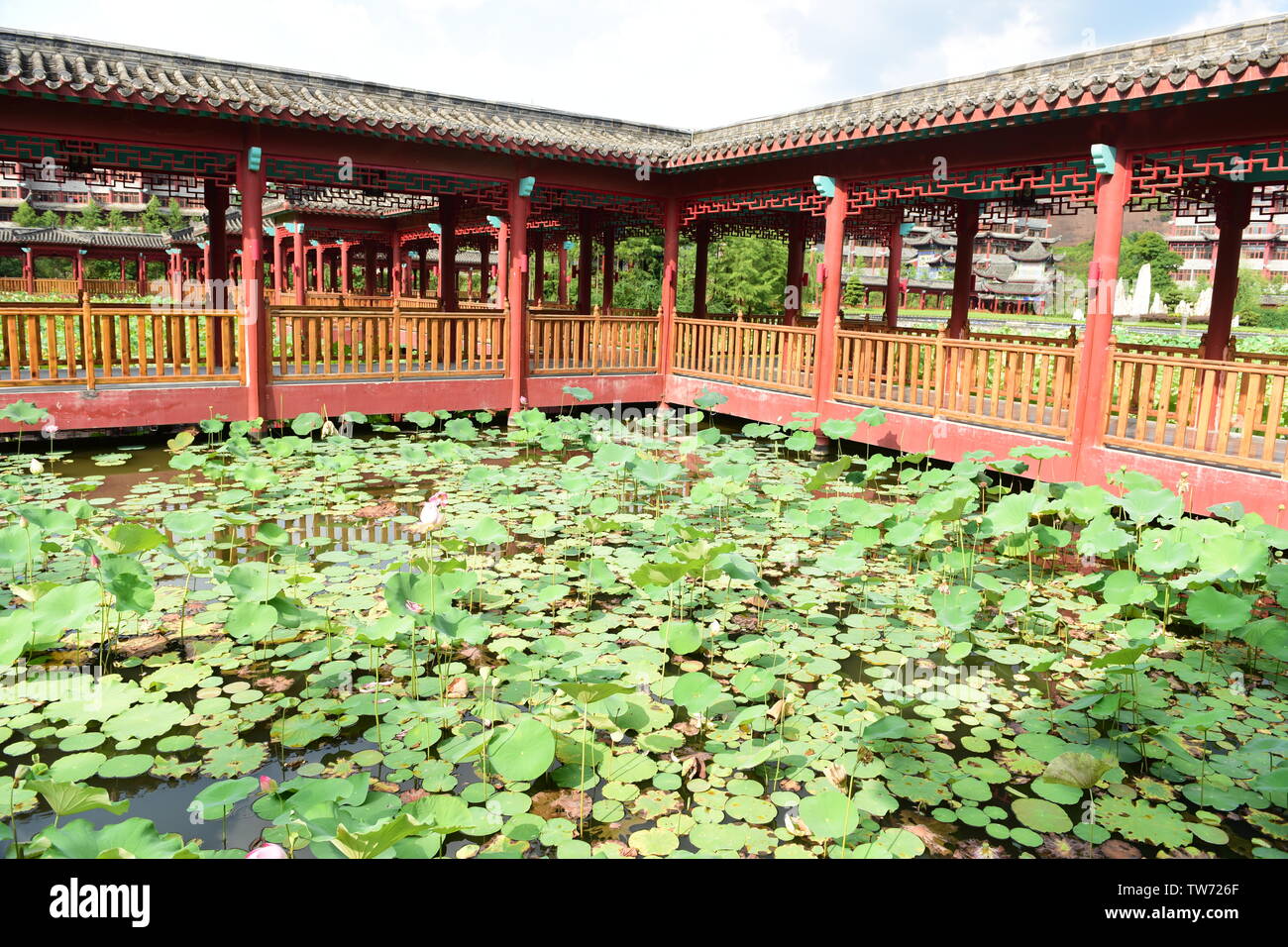 Antique architecture and lotus pavilion lotus Stock Photo - Alamy