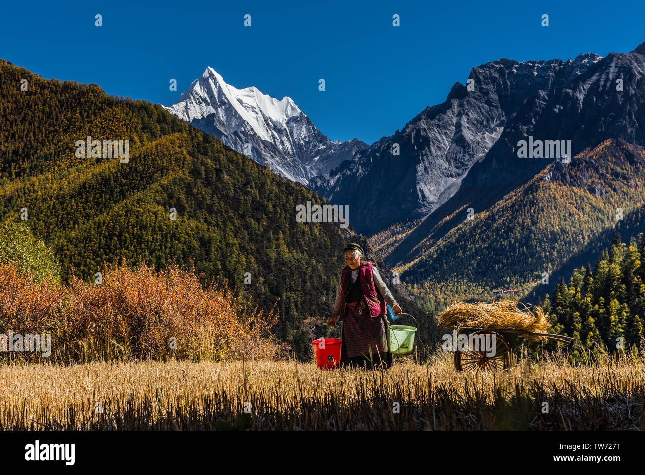 Photographed in Rice City Aden Stock Photo - Alamy