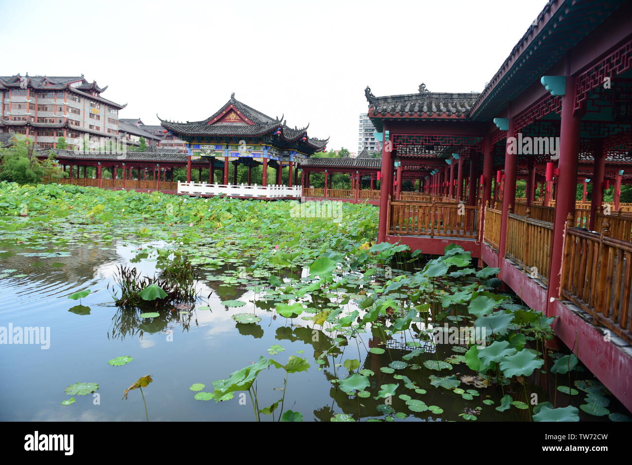 Antique architecture and lotus pavilion lotus Stock Photo - Alamy