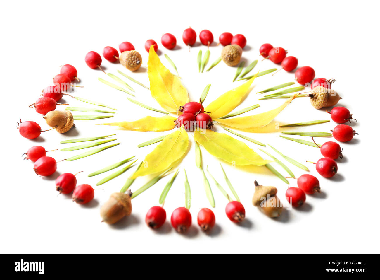 Beautiful natural mandala on light background Stock Photo - Alamy