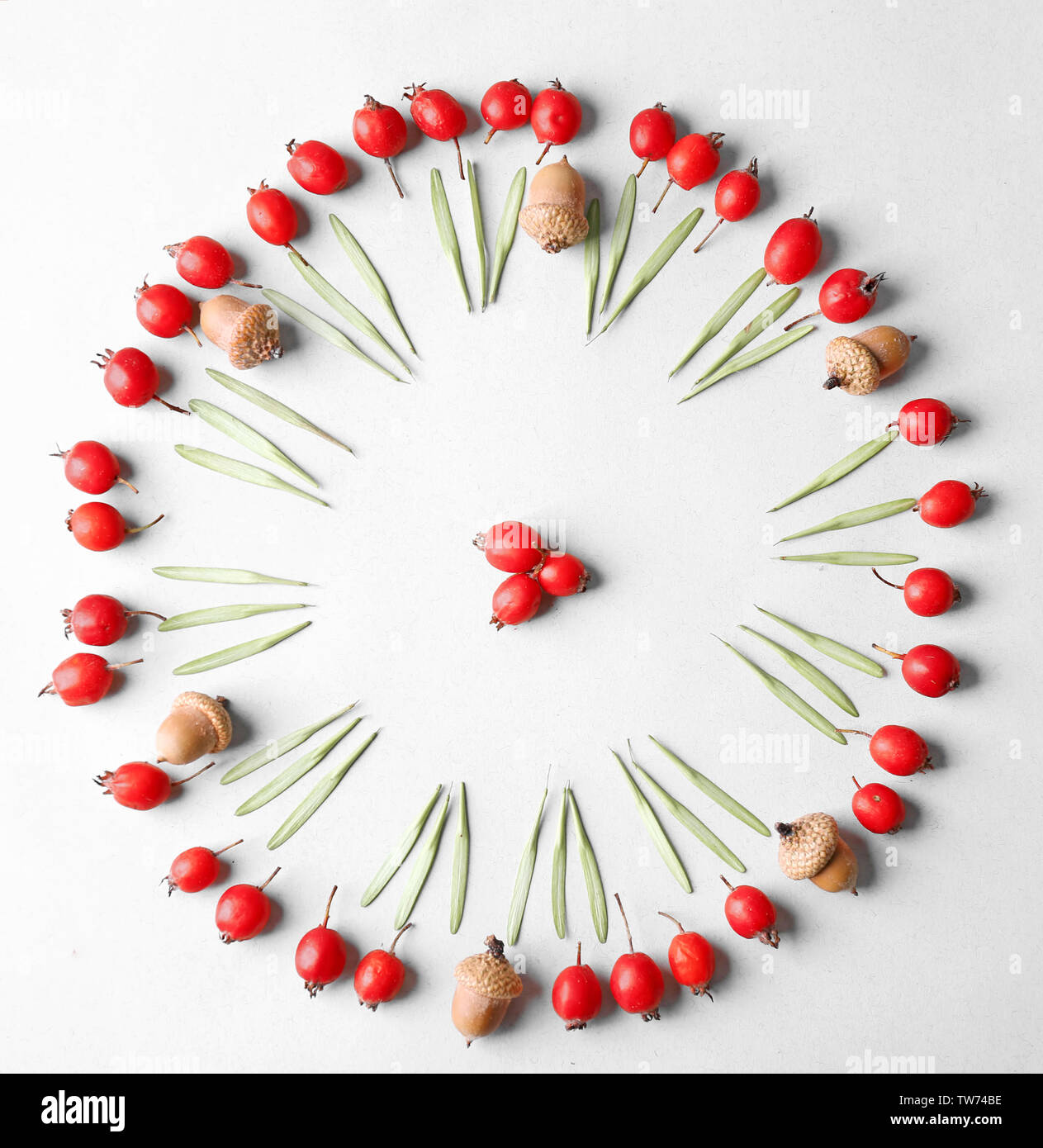 Beautiful natural mandala on light background Stock Photo - Alamy