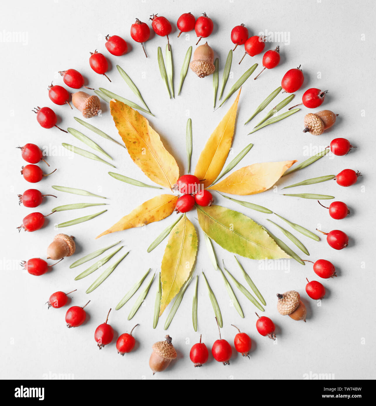 Beautiful natural mandala on light background Stock Photo - Alamy