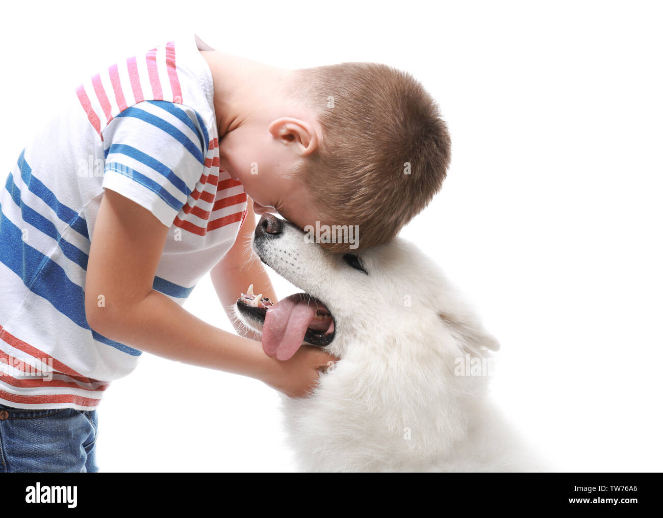 Cute little boy with dog on white background Stock Photo - Alamy