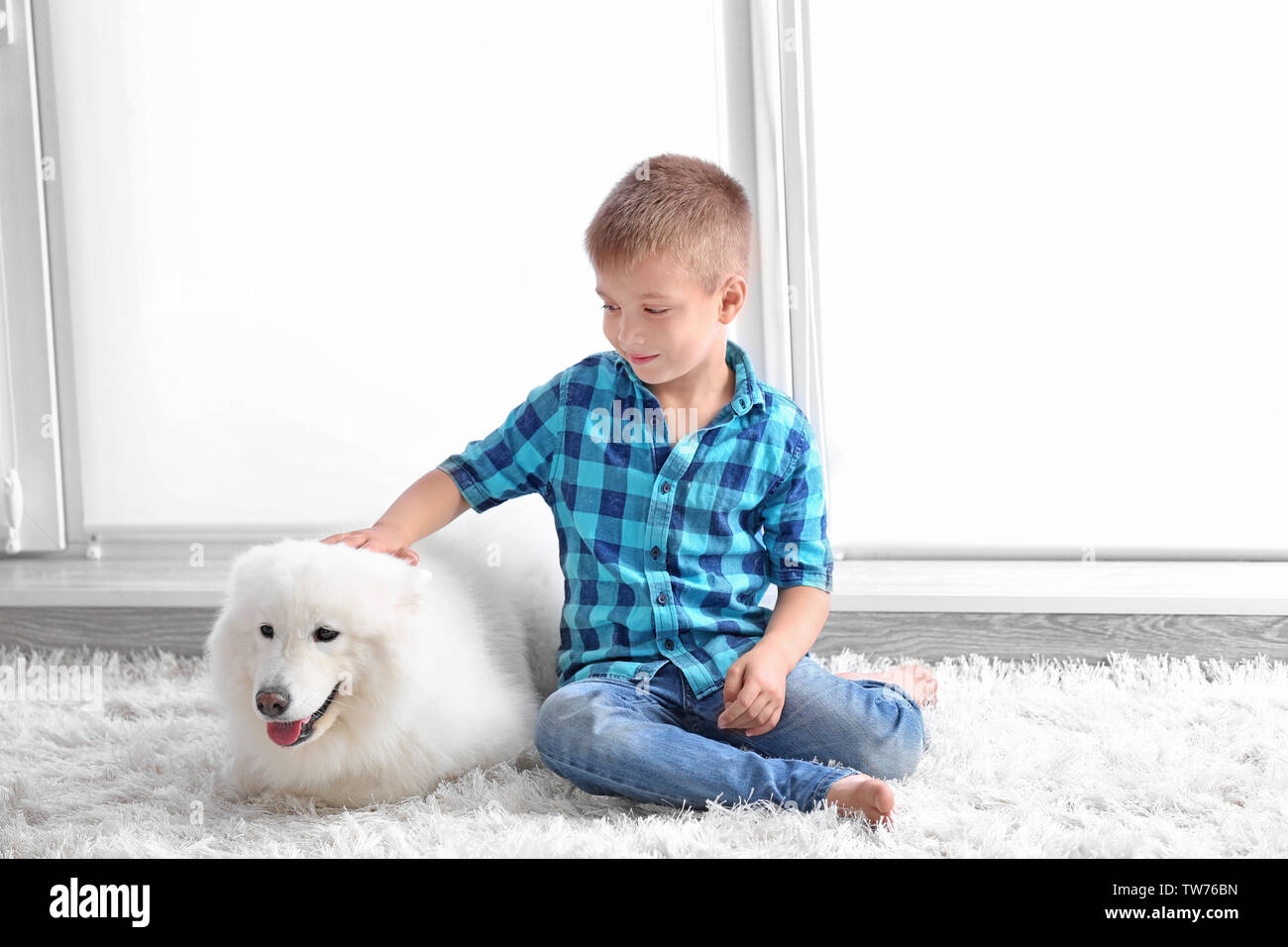 Cute little boy with dog at home Stock Photo - Alamy