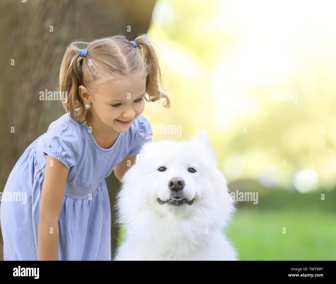 Cute little girl with dog in park Stock Photo - Alamy