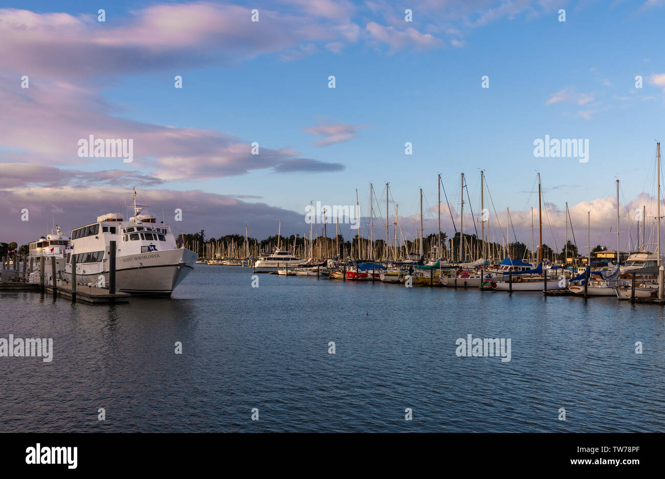 California marina boats hi-res stock photography and images - Alamy