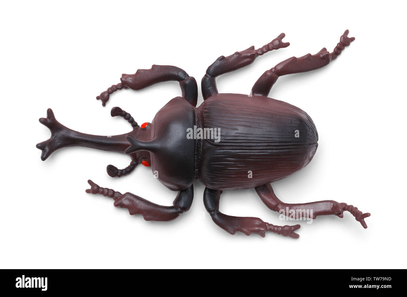 Toy Plastic Bettle Top View Isolated on White Background Stock Photo ...