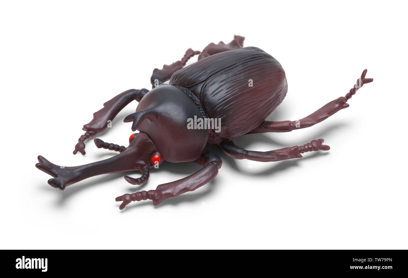 Toy Plastic Bettle Isolated on White Background Stock Photo - Alamy
