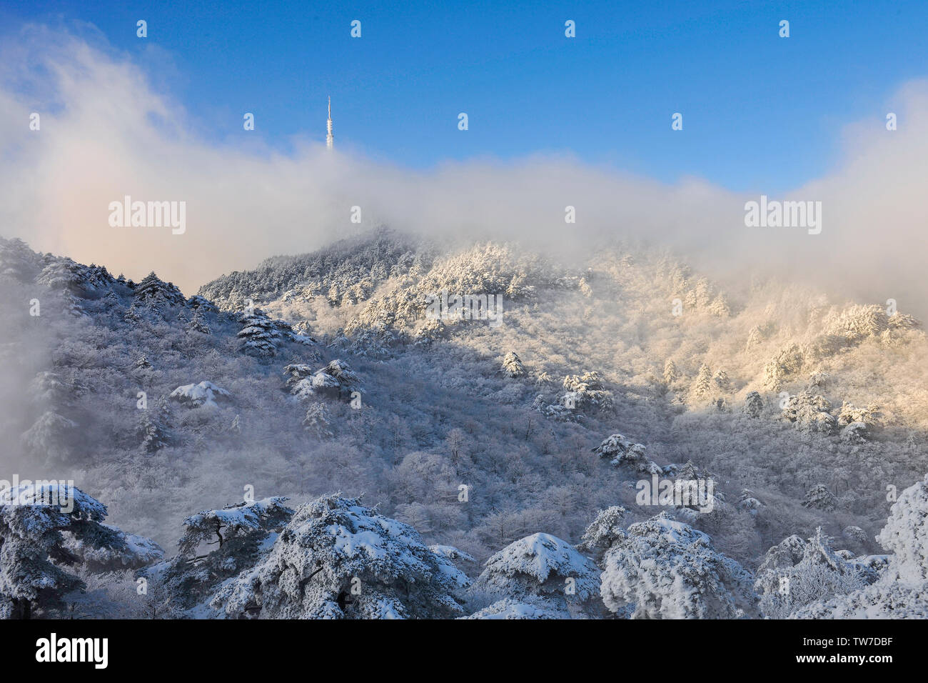 During the Spring Festival holiday in 2012, I made a special trip to Huangshan. There is also a ...