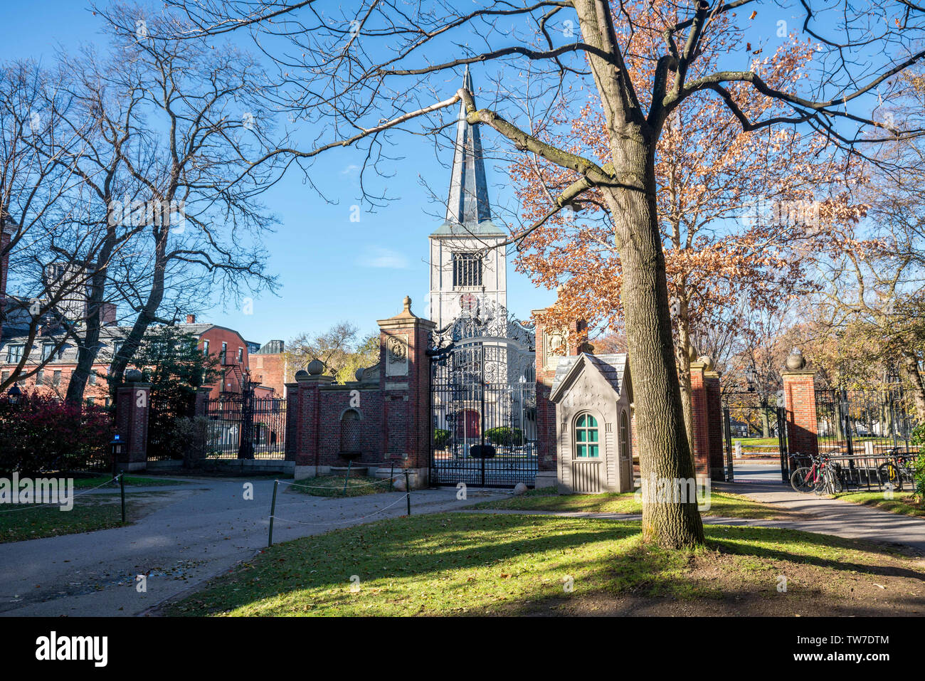 Harvard campus scenery Stock Photo - Alamy