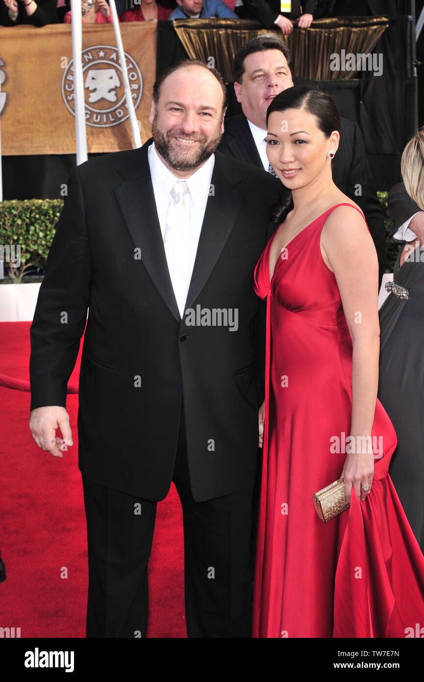LOS ANGELES, CA. January 27, 2008: James Gandolfini at the 14th Annual ...