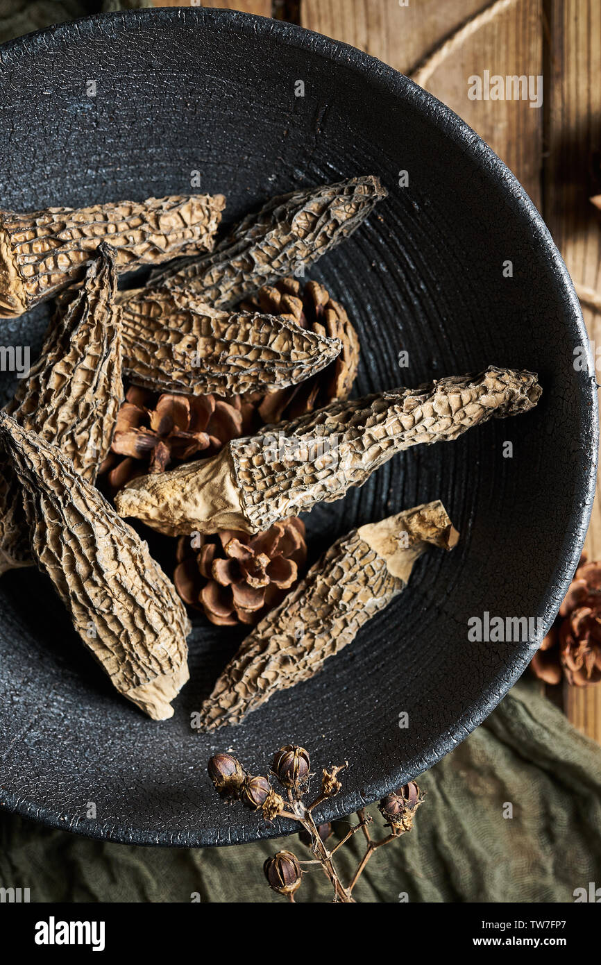 Tripe fungus hi-res stock photography and images - Alamy