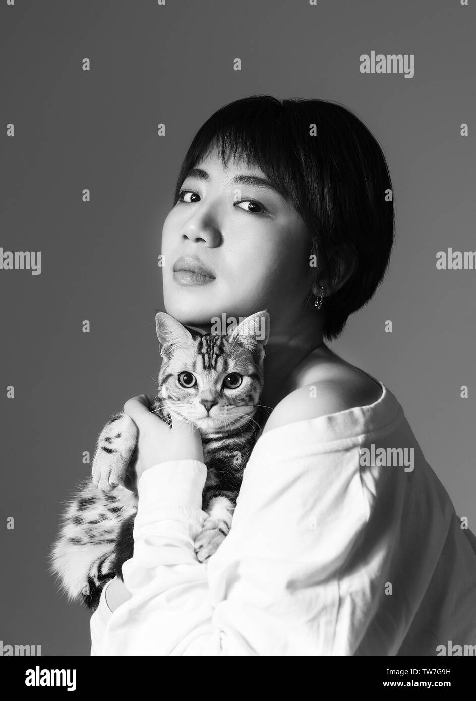 Ash cat hi-res stock photography and images - Alamy