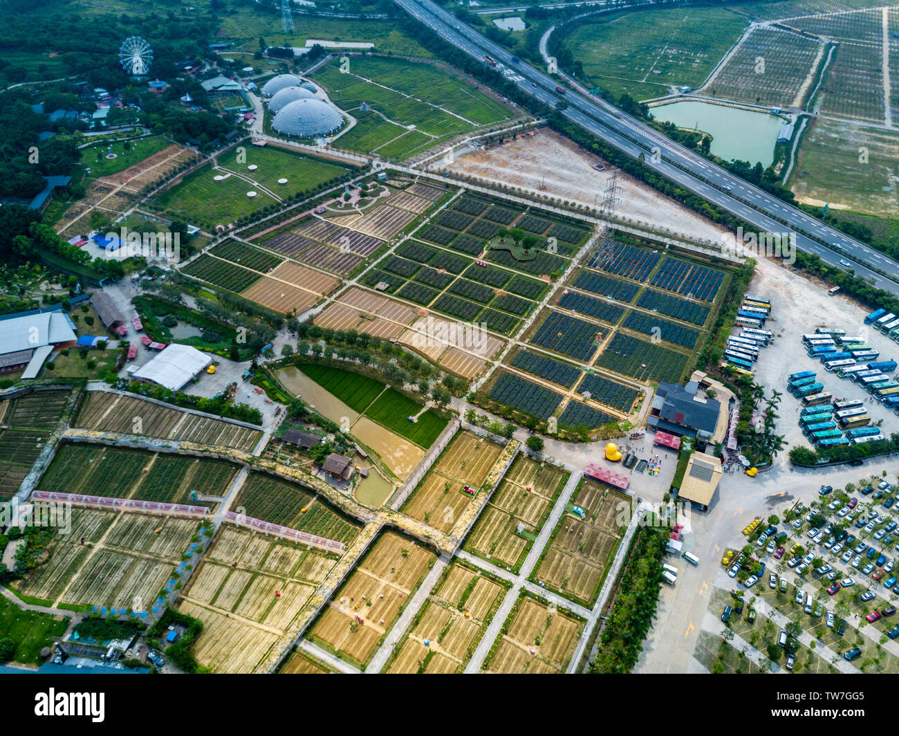 Gao Ming Yingxiang Ecological Park, Foshan, China Stock Photo - Alamy