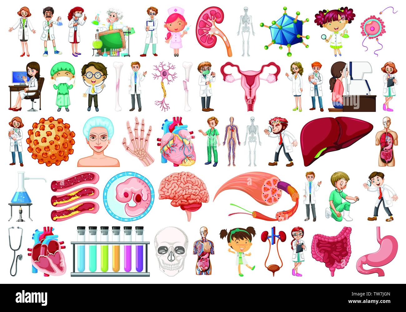Set of science anatomy illustration Stock Vector Image & Art - Alamy