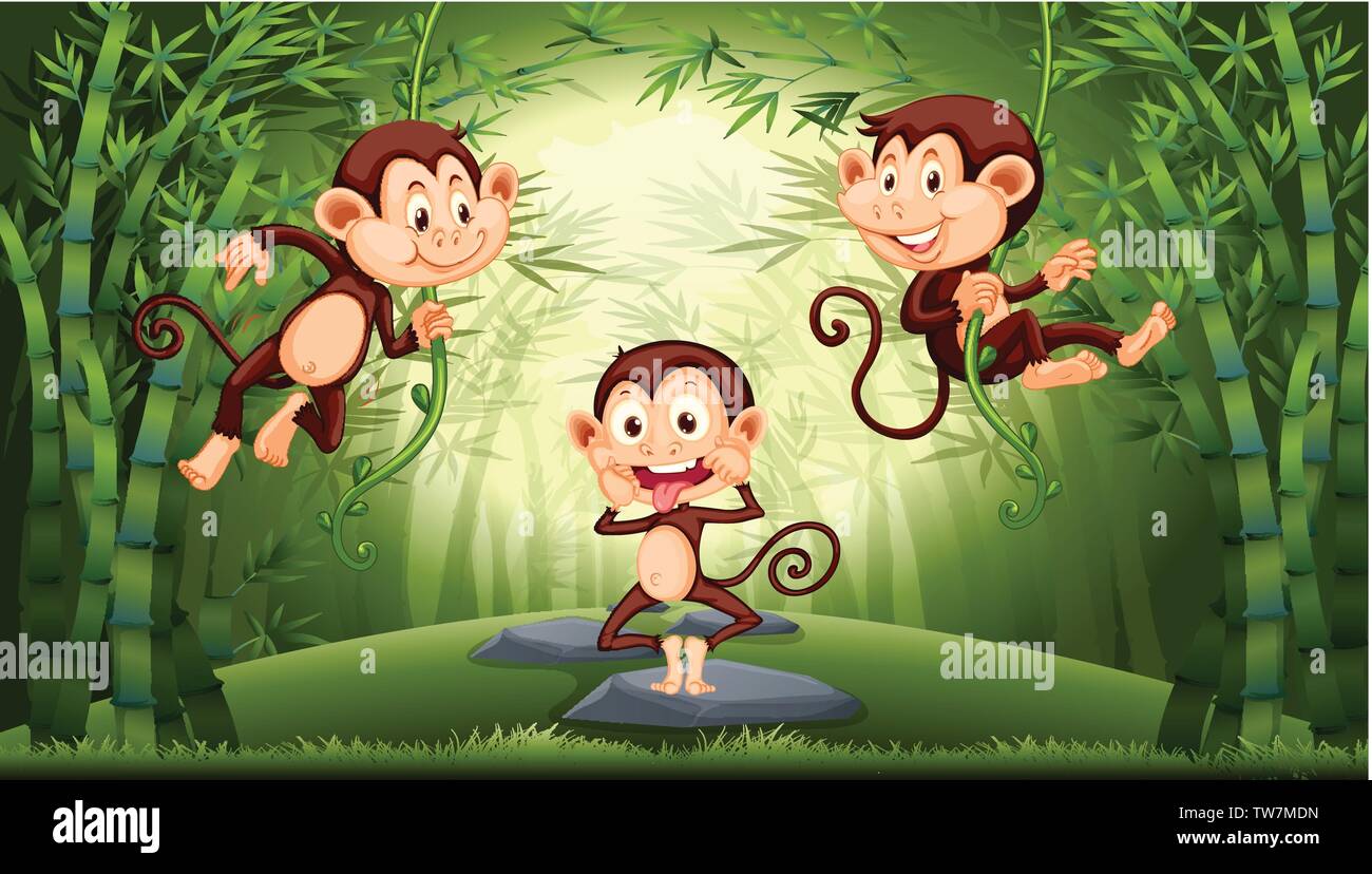 Monkey in the forest illustration Stock Vector Image & Art - Alamy