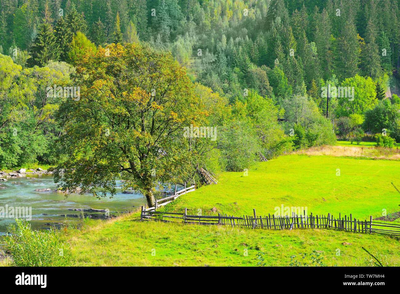 Beautiful landscape with paddock and mountain river Stock Photo - Alamy