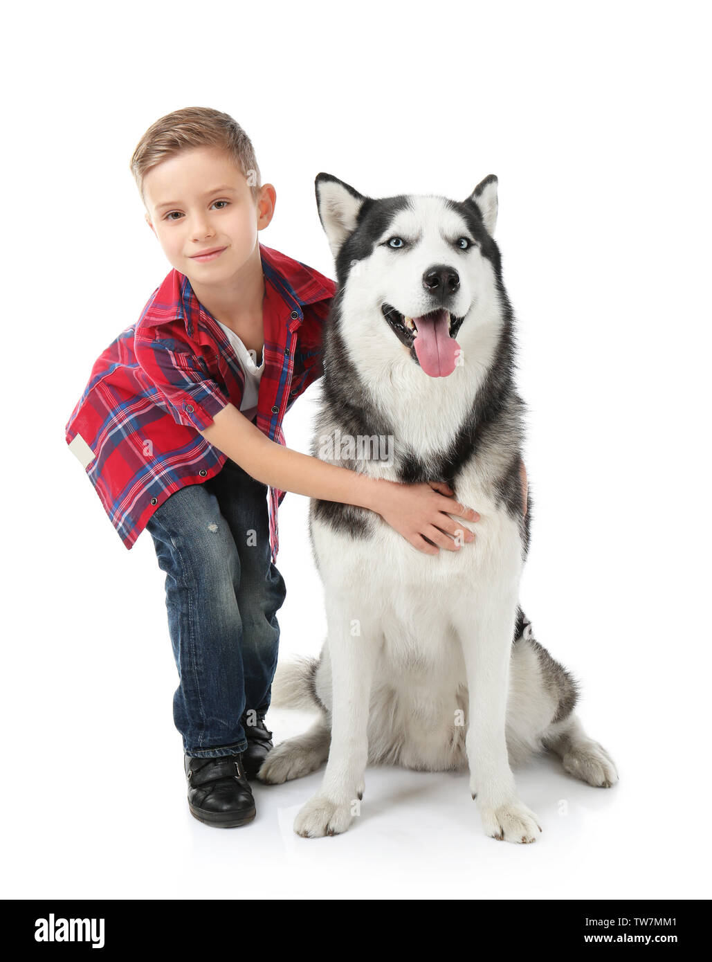 Cute little boy with Husky dog on white background Stock Photo - Alamy