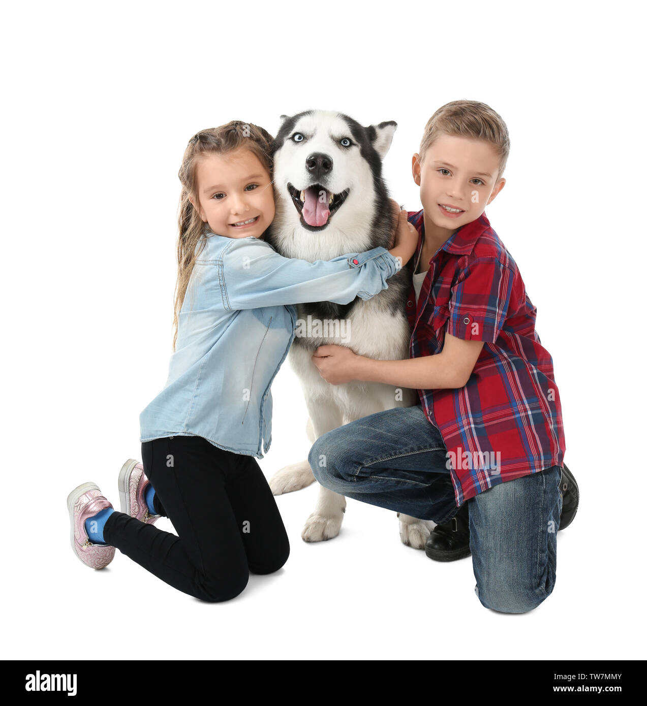 Cute little children with Husky dog on white background Stock Photo - Alamy