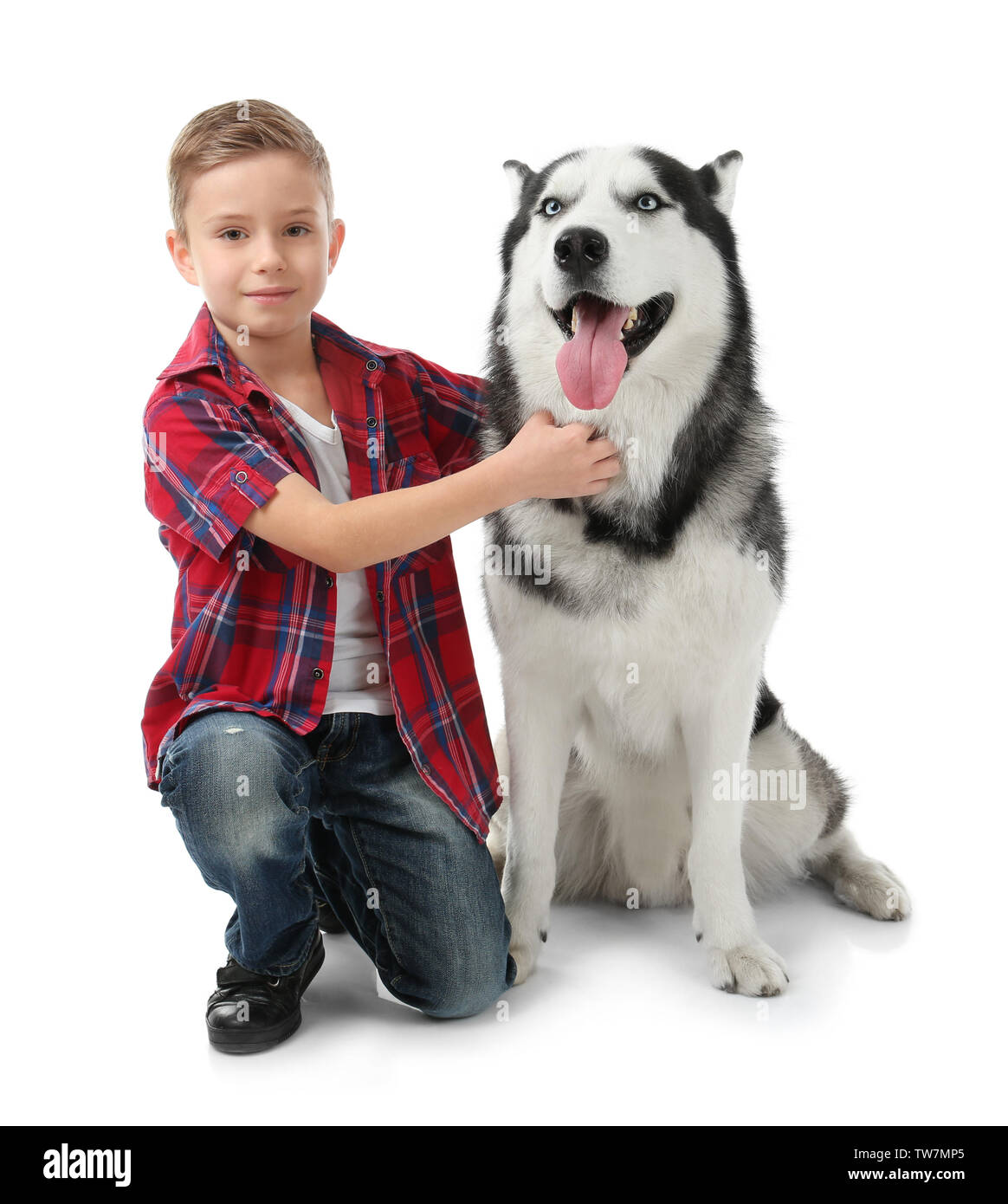 Cute little boy with Husky dog on white background Stock Photo - Alamy