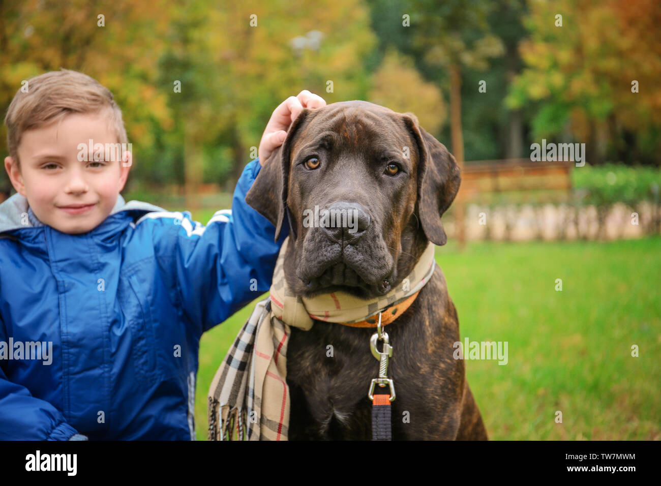 Cute little boy with his dog outdoors Stock Photo - Alamy