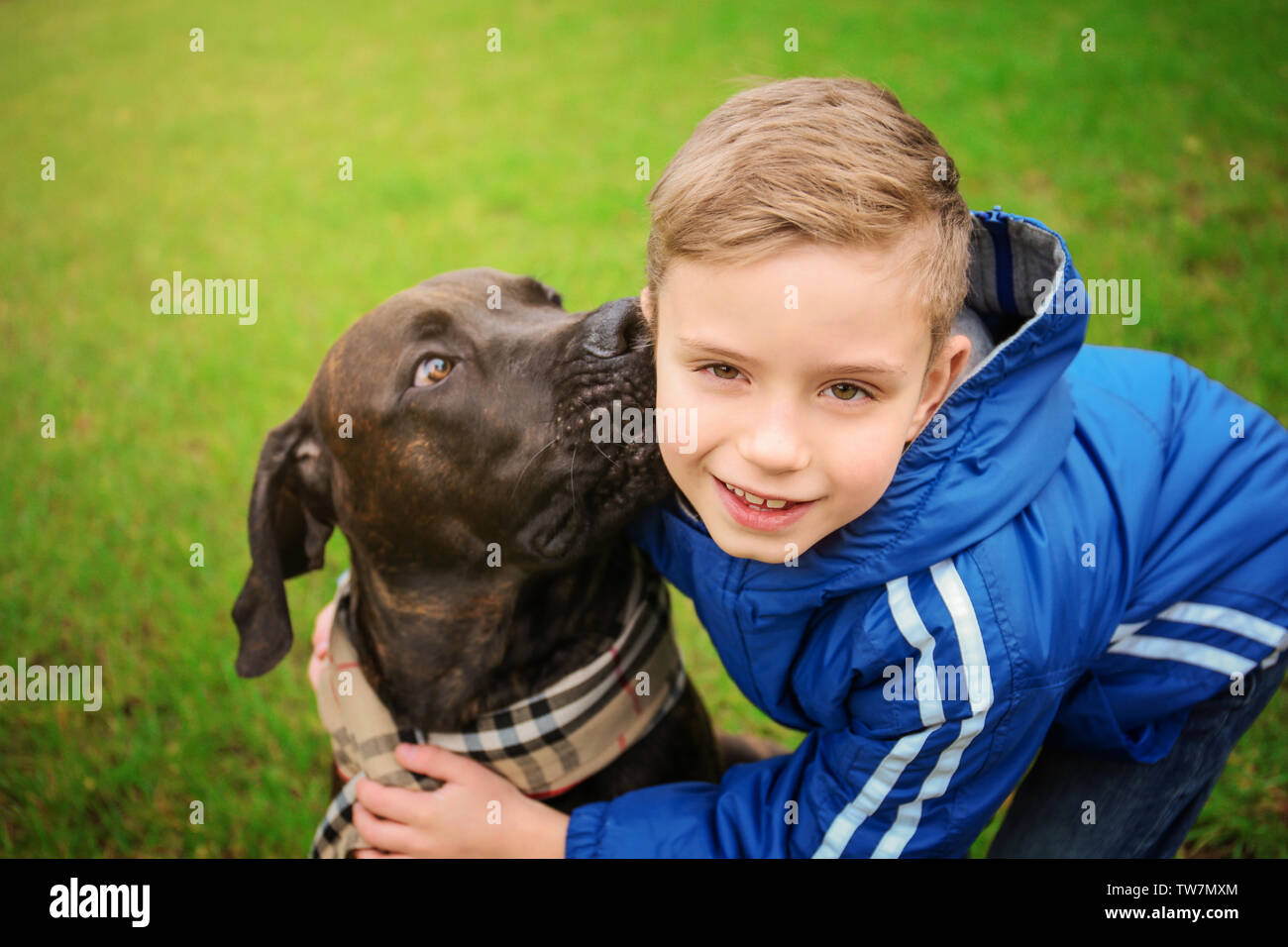 Cute little boy with his dog outdoors Stock Photo - Alamy