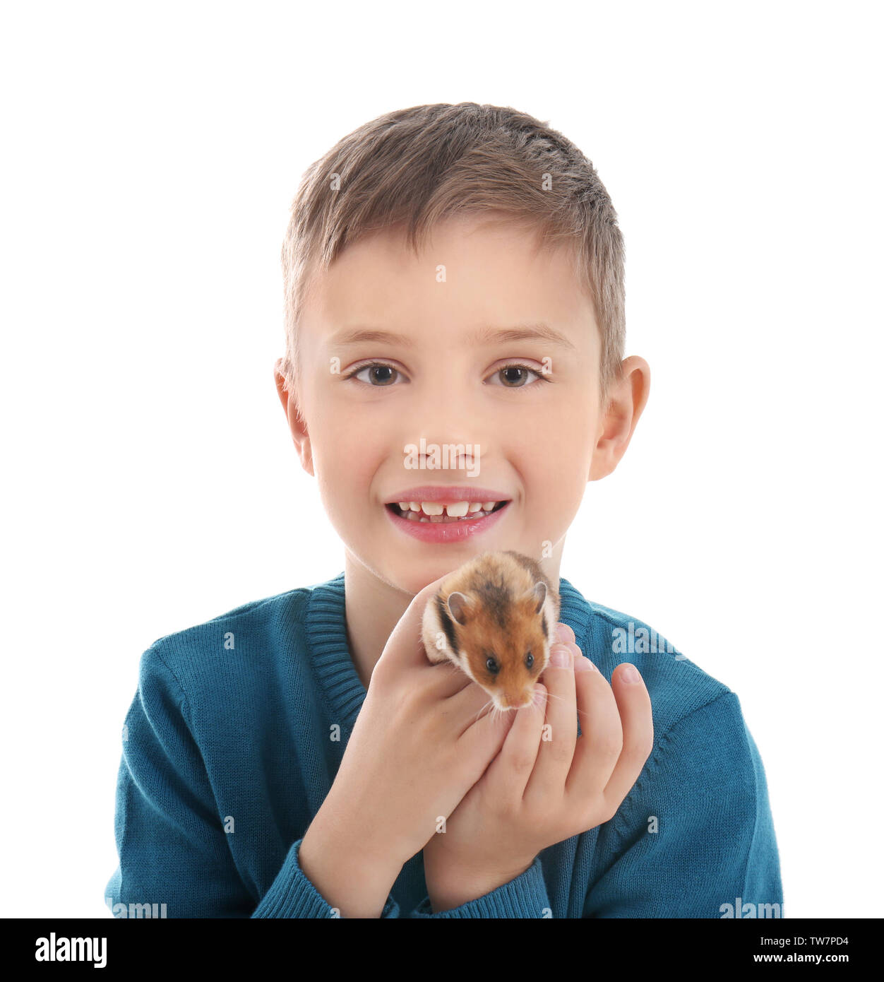 Boy holding hamster hi-res stock photography and images - Alamy