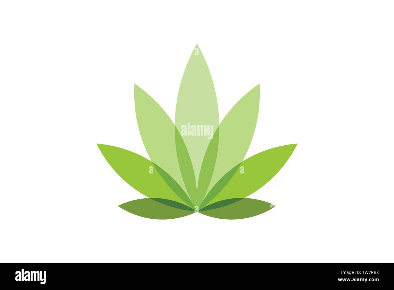 cannabis leaf logo Designs Inspiration Isolated on White Background ...