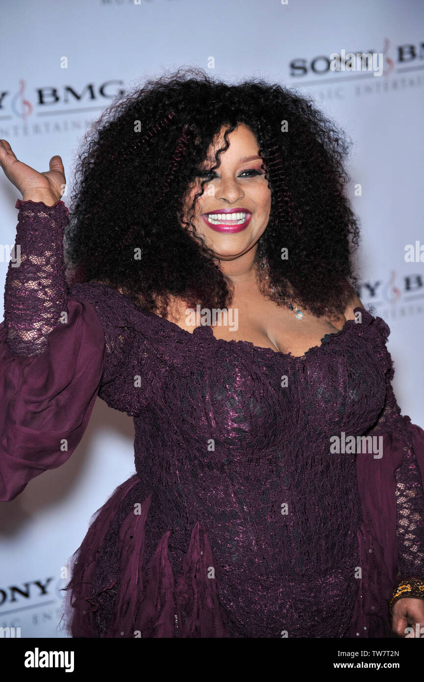LOS ANGELES, CA. February 10, 2008: Chaka Khan at the Sony BMG Music ...