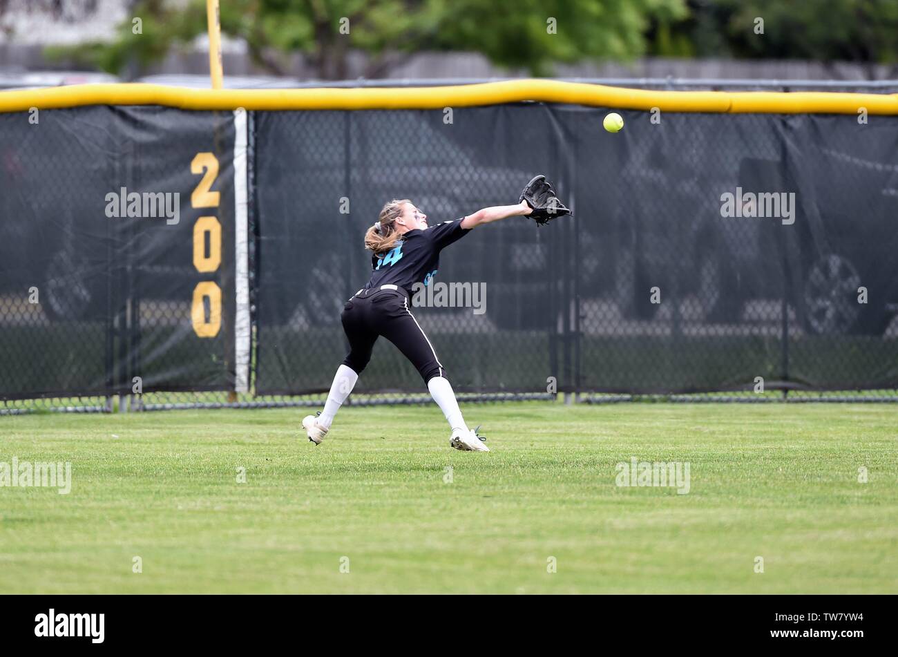Left fielder making a running back-handed catch near the foul line. USA ...