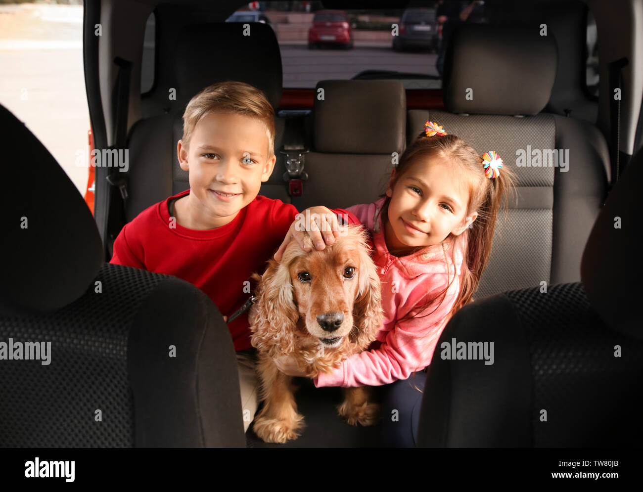 Cute children with dog sitting in car Stock Photo - Alamy