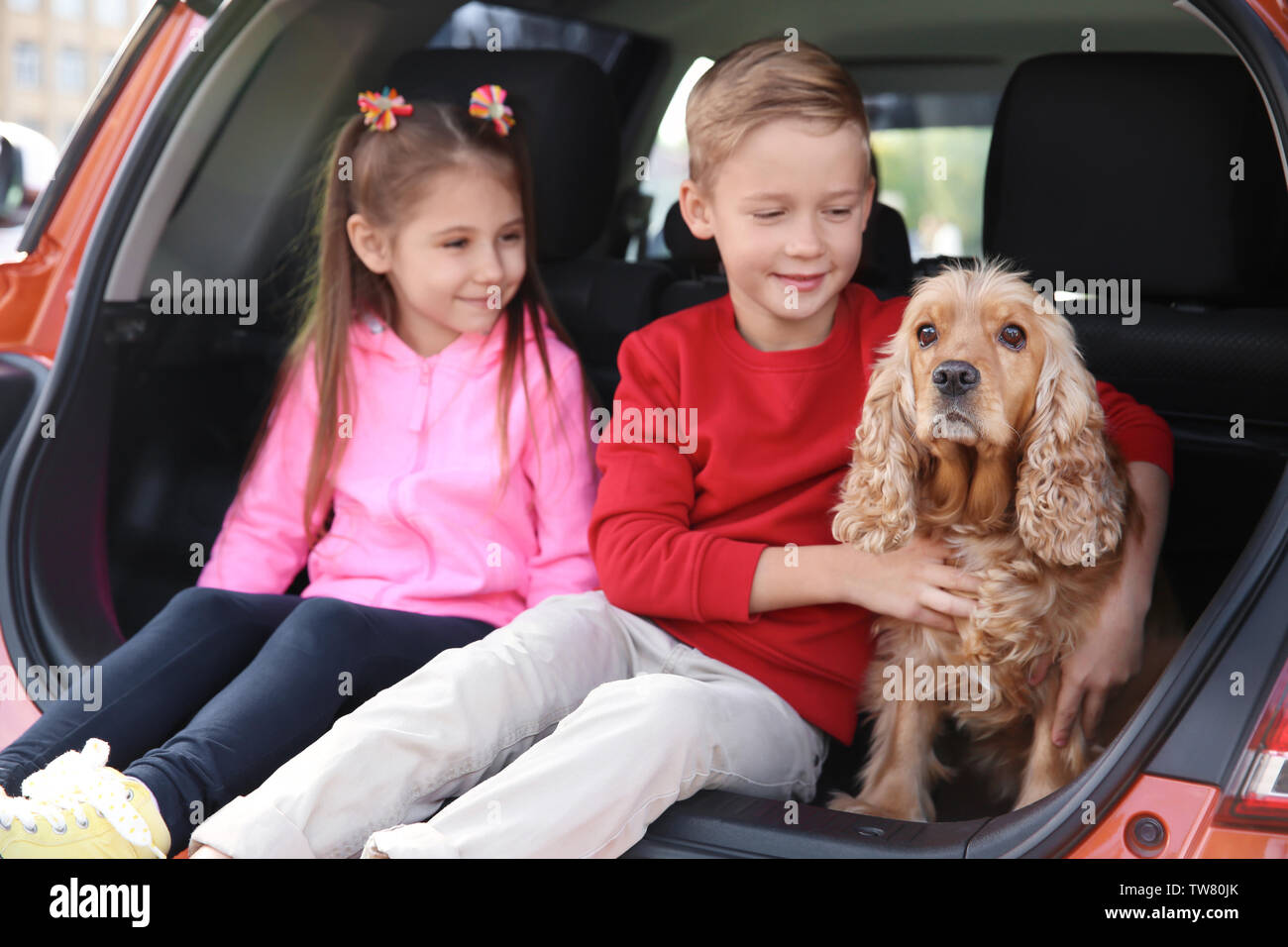 Cute children with dog sitting in car trunk Stock Photo - Alamy