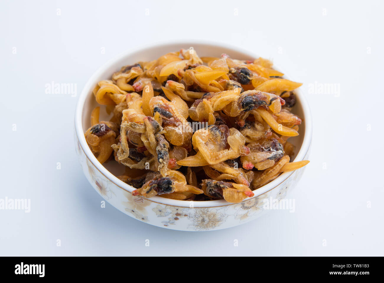 Clam flower hi-res stock photography and images - Alamy