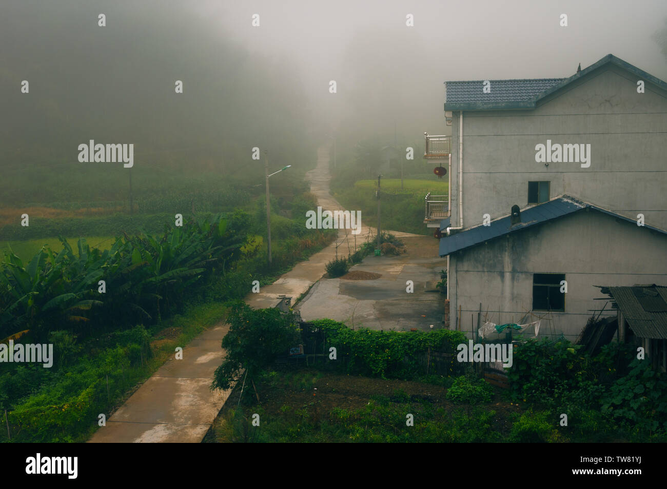 The foggy countryside Stock Photo - Alamy