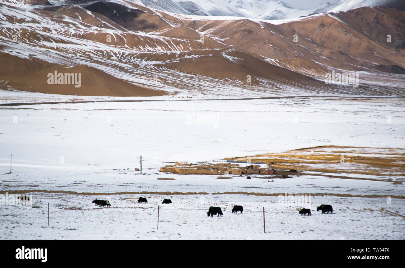 Scenery of Mushtag Snow Mountain in Xinjiang Stock Photo - Alamy