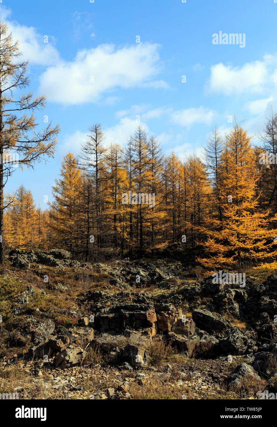 Endemic geomorphology of Alshan Stock Photo - Alamy