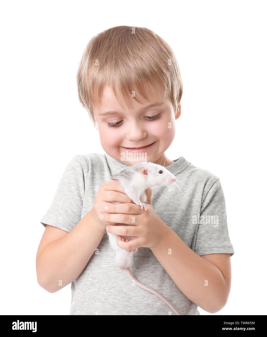 Little boy with cute pet rat on white background Stock Photo - Alamy