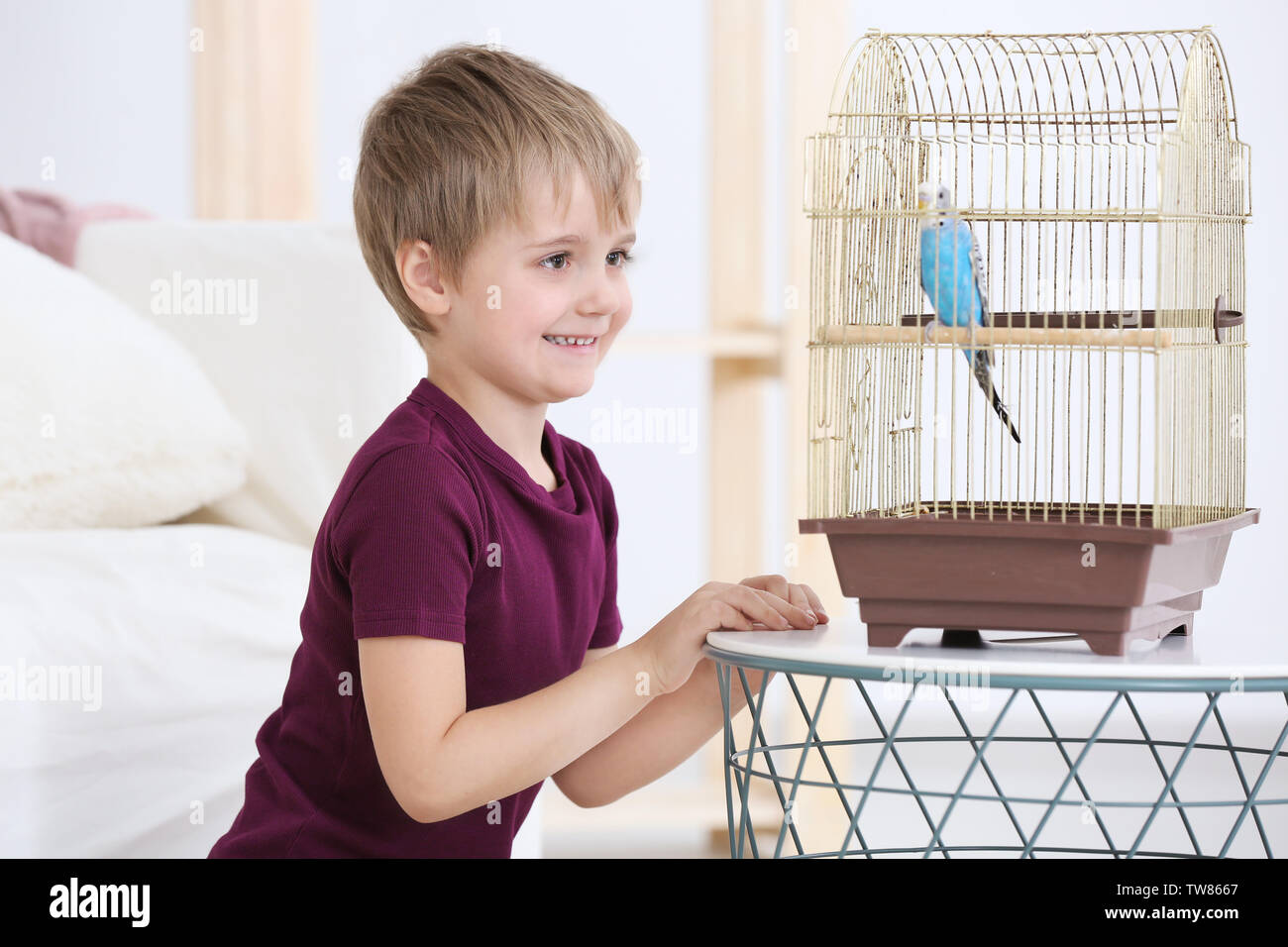 Little boy with adorable pet blue parrot in cage indoors Stock Photo ...