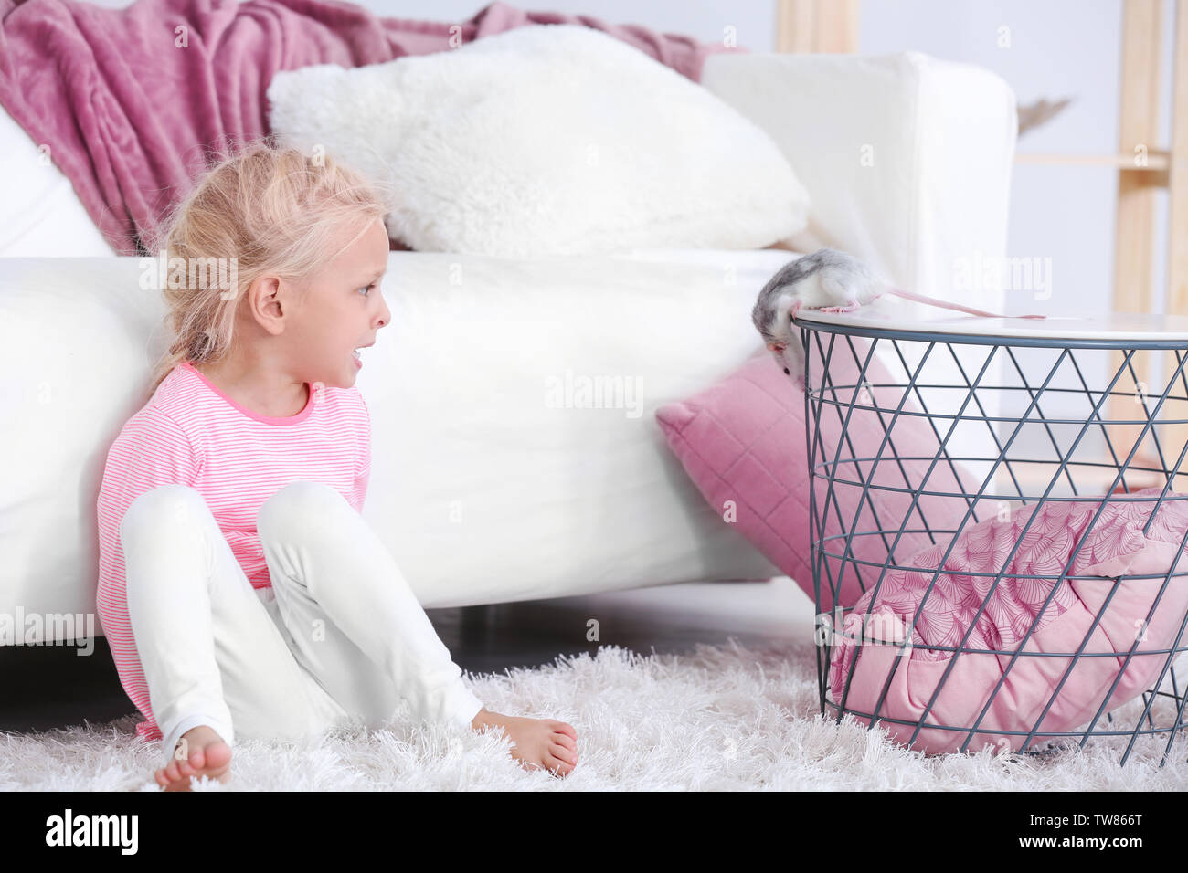 Child rat scared hi-res stock photography and images - Alamy