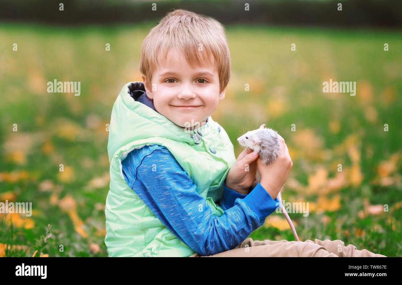 Cute pet rat hi-res stock photography and images - Alamy