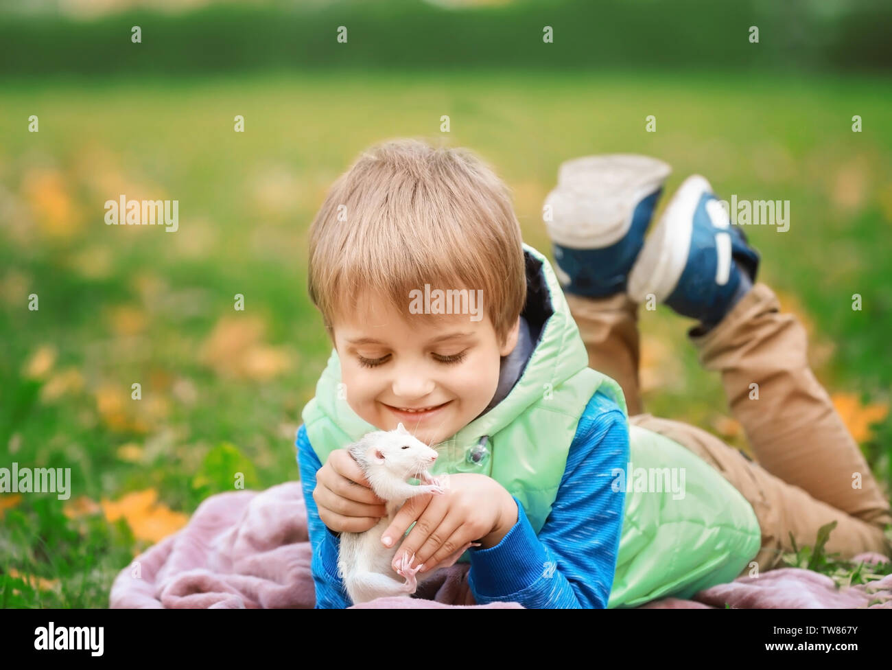 Pet rat hi-res stock photography and images - Alamy