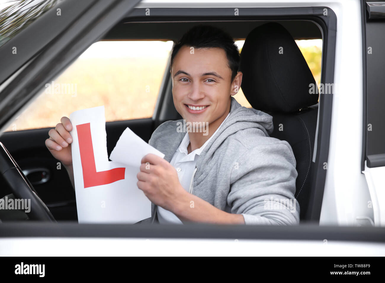 License to drive poster hi-res stock photography and images - Alamy