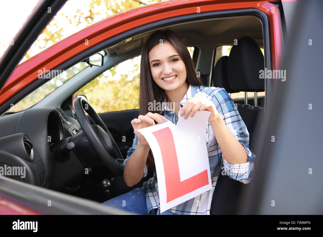 License to drive poster hi-res stock photography and images - Alamy