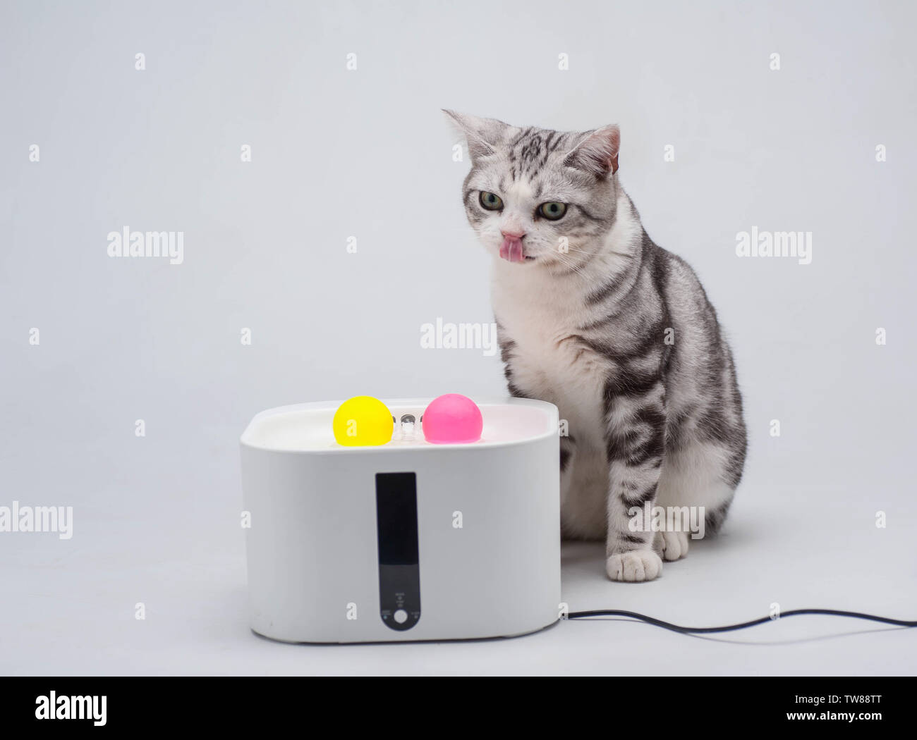 Sprouts for eyes hi-res stock photography and images - Alamy