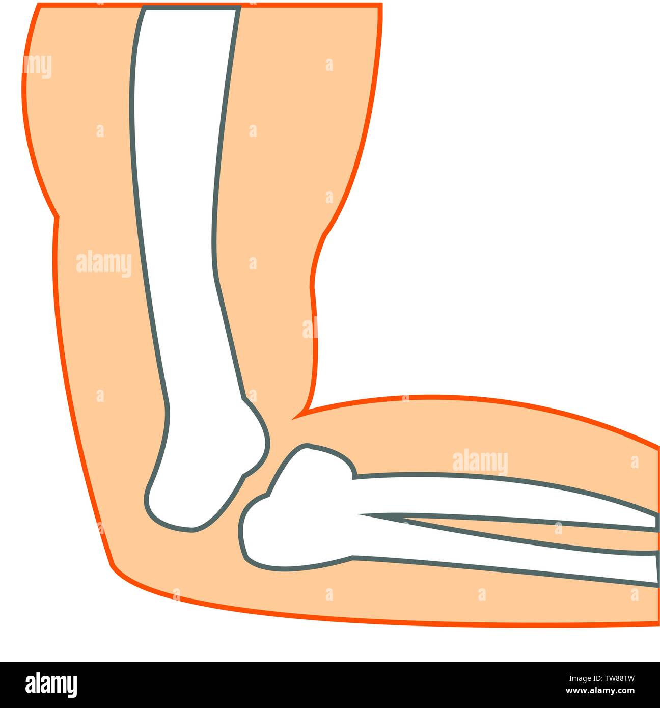 Vector illustration of the construction elbow person Stock Vector Image ...