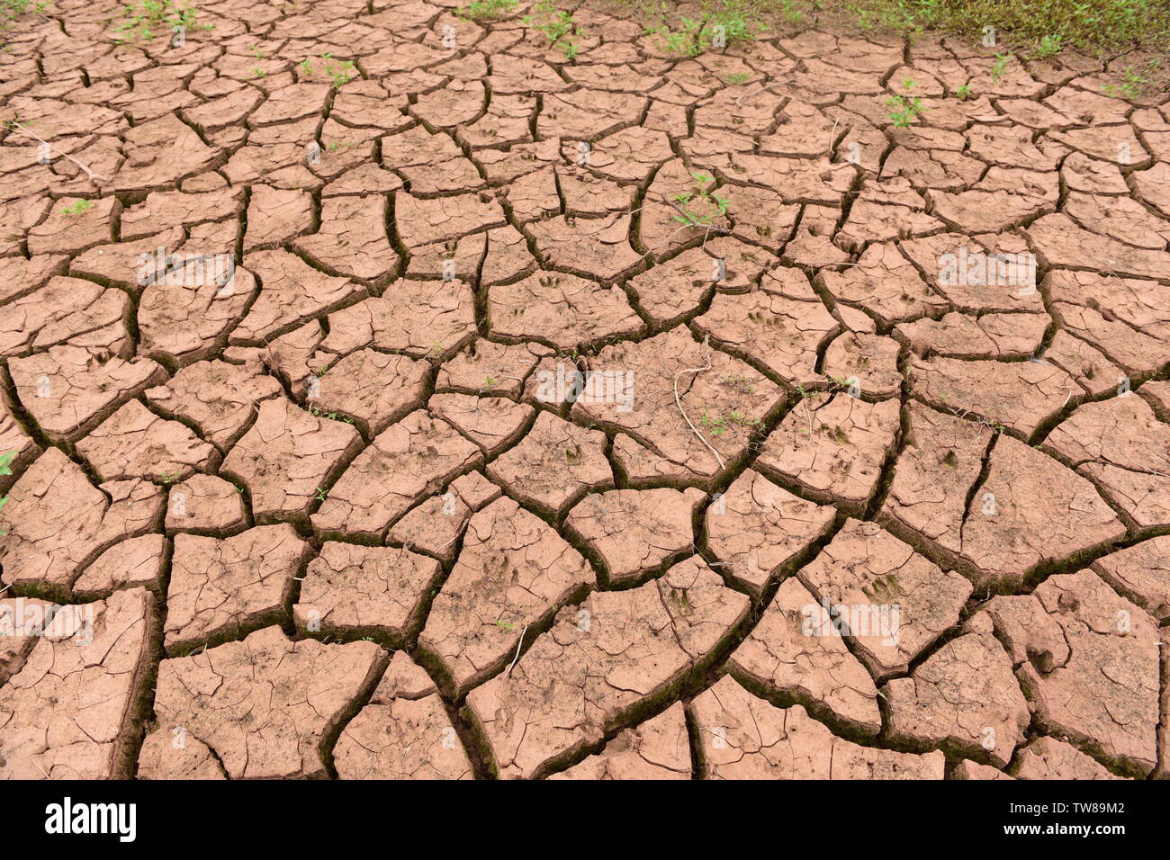Grassland drought hi-res stock photography and images - Alamy